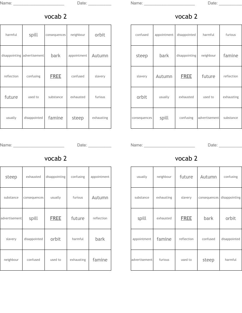 vocab 2 Bingo Cards - WordMint