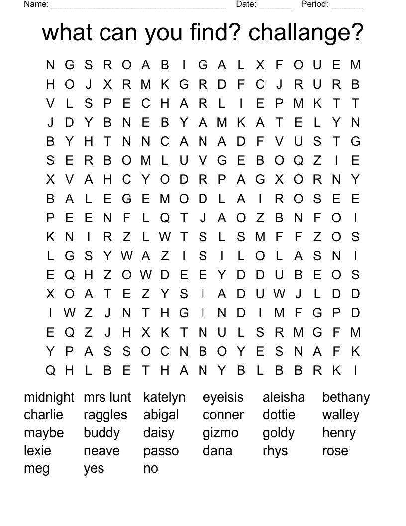 What Can You Find Challange Word Search WordMint