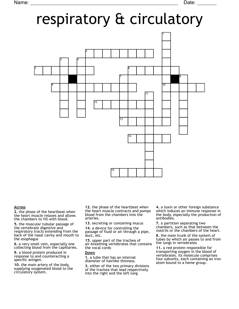 respiratory & circulatory Crossword - WordMint